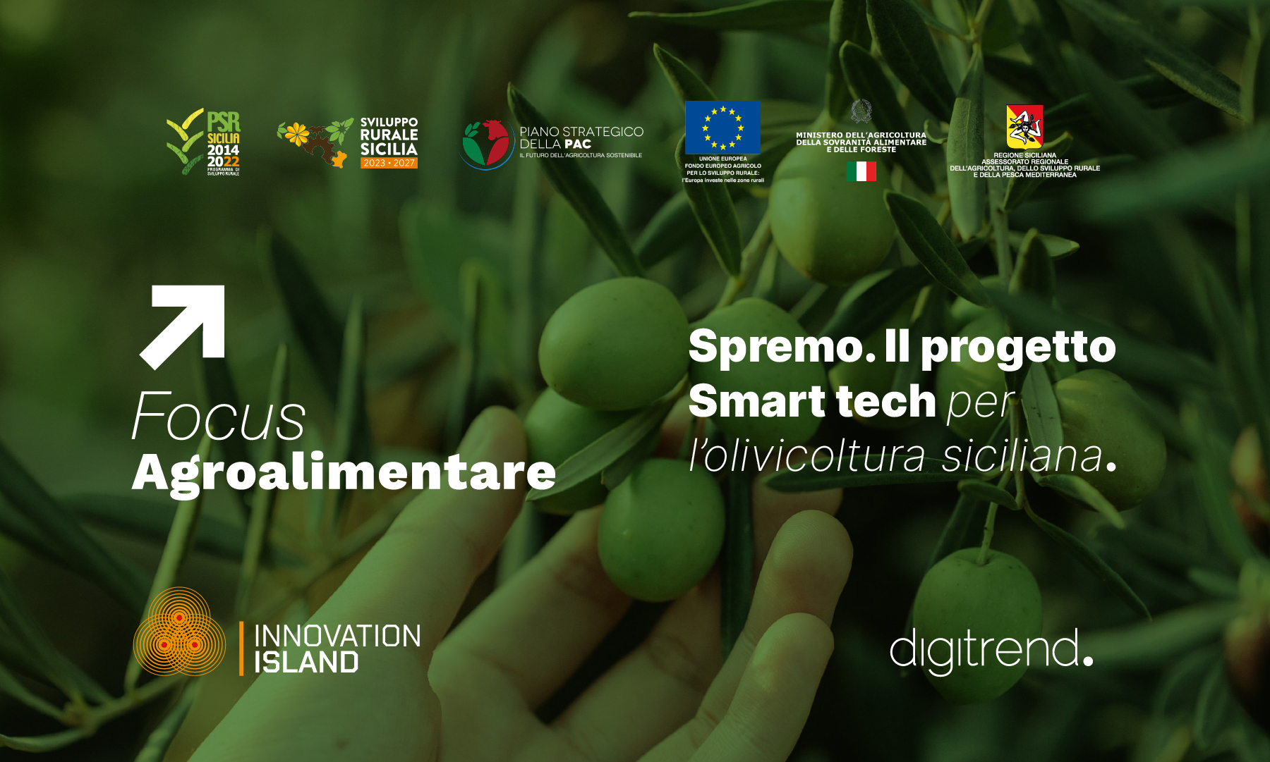 Spremo, il progetto Smart tech per l’olivicoltura siciliana ...